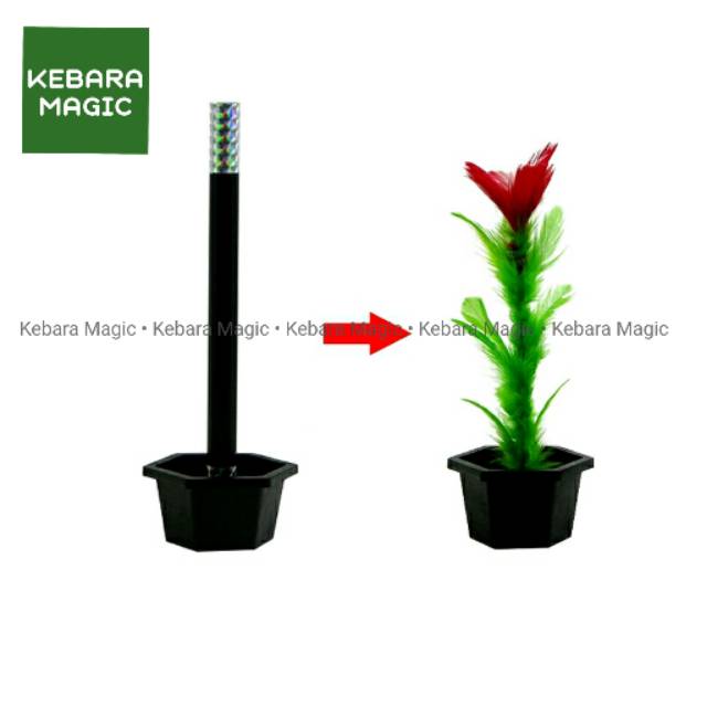 Jual Alat Sulap Wand To Flower - Sulap Tongkat - Sulap Bunga - Sulap ... Jual Alat Sulap Wand To Flower - Sulap Tongkat - Sulap Bunga - Sulap ...