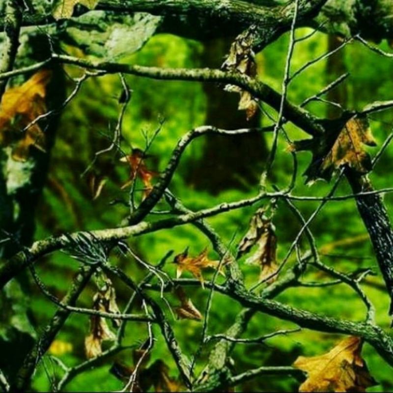 Jual Stiker Camo Realtree green | Shopee Indonesia