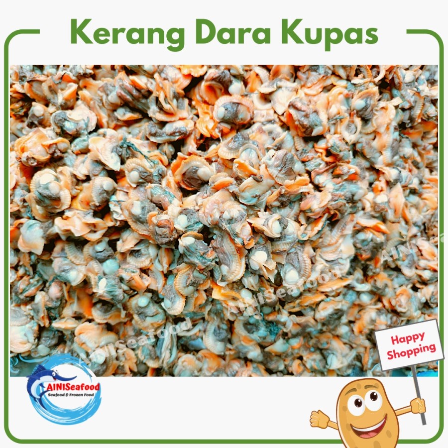 Jual Daging kerang dara kupas segar fresh clam oyster meat surabaya ...