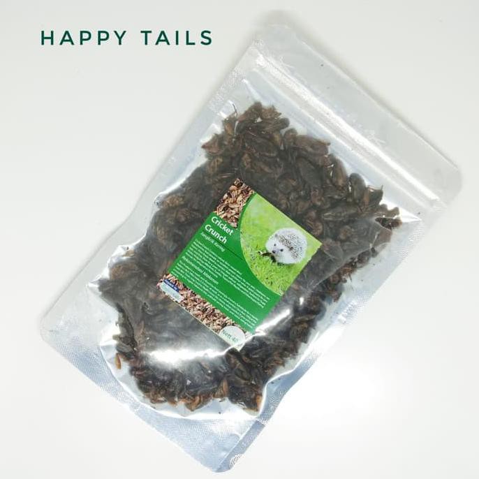 Jual Jangkrik Kering Dried Cricket Crunch Makanan Landak Mini Hedgehog ...