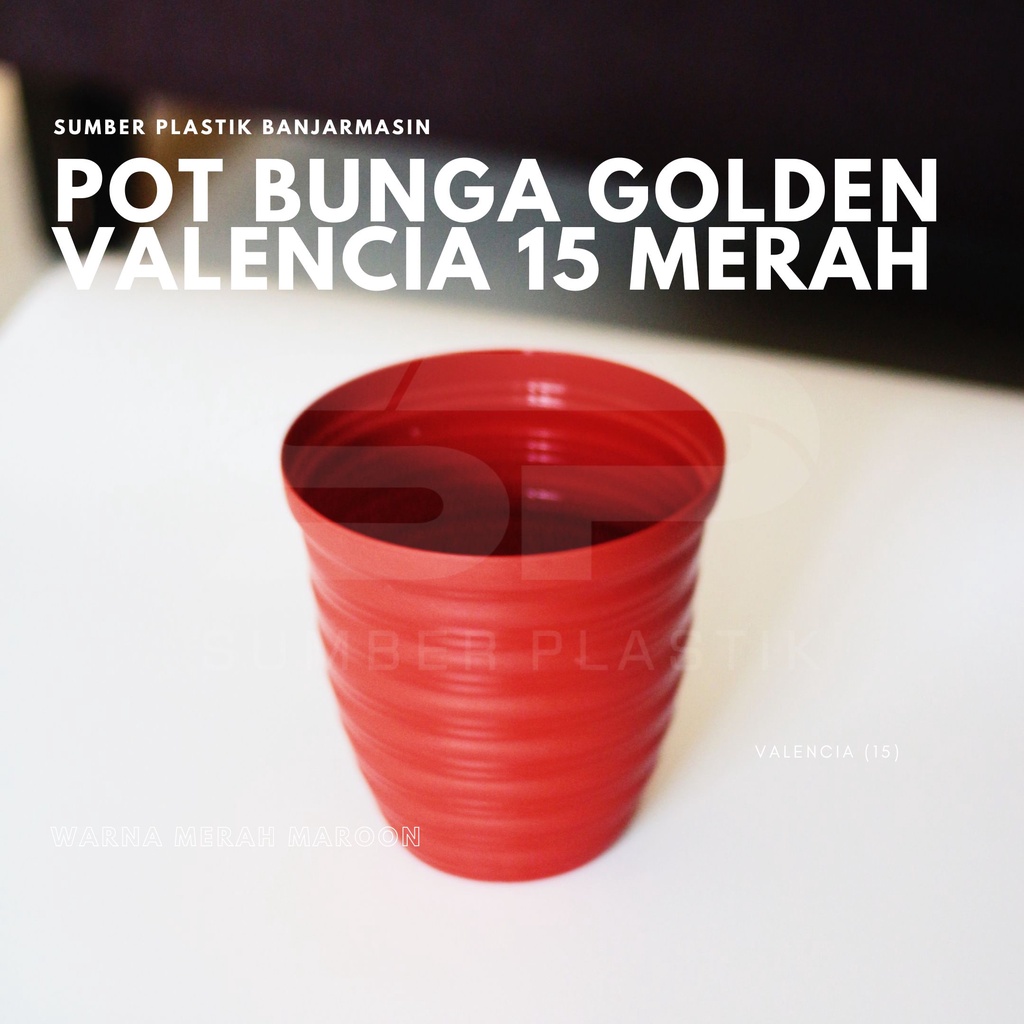 Jual Pot Bunga Tawon Ukuran 15 Merah Maroon (Golden Valencia) | Shopee ...