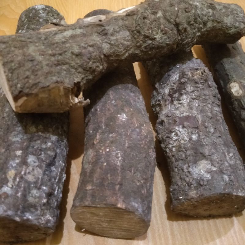 Jual Kayu Lemo Krangen 20cm Kilemo Penangkal Ular & Hewan Berbisa ...