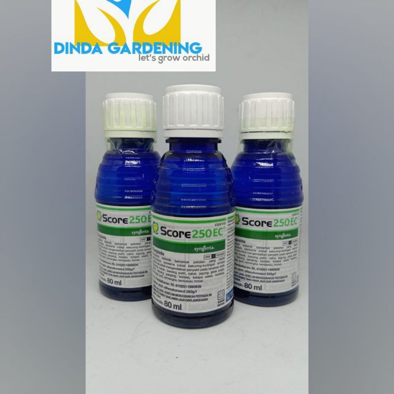 Jual SCORE 250 EC + ZPT 80ml FUNGISIDA OBAT JAMUR TANAMAN | Shopee ...