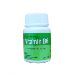 Jual Vitamin B6 Terlengkap & Harga Terbaru Januari 2026 | Shopee Indonesia