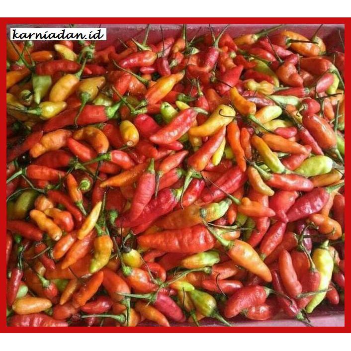 Jual Aneka-Sambal- Cabe Rawit Merah Petikan 100 Gr -Pedeeeeeezzzzzzz ...