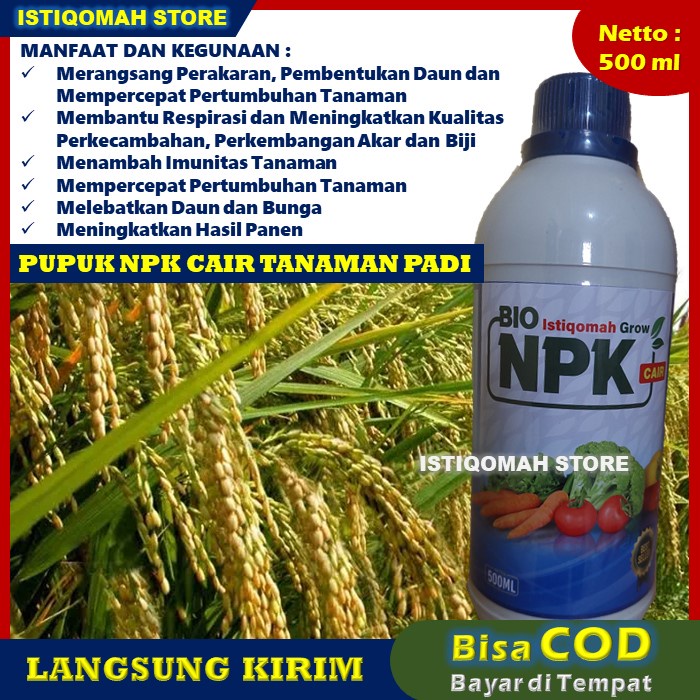 Jual ISTIQOMAH GROW 500ml Pupuk NPK Cair Obat Semprot Padi Sawah Yang Paling Bagus - Obat ...