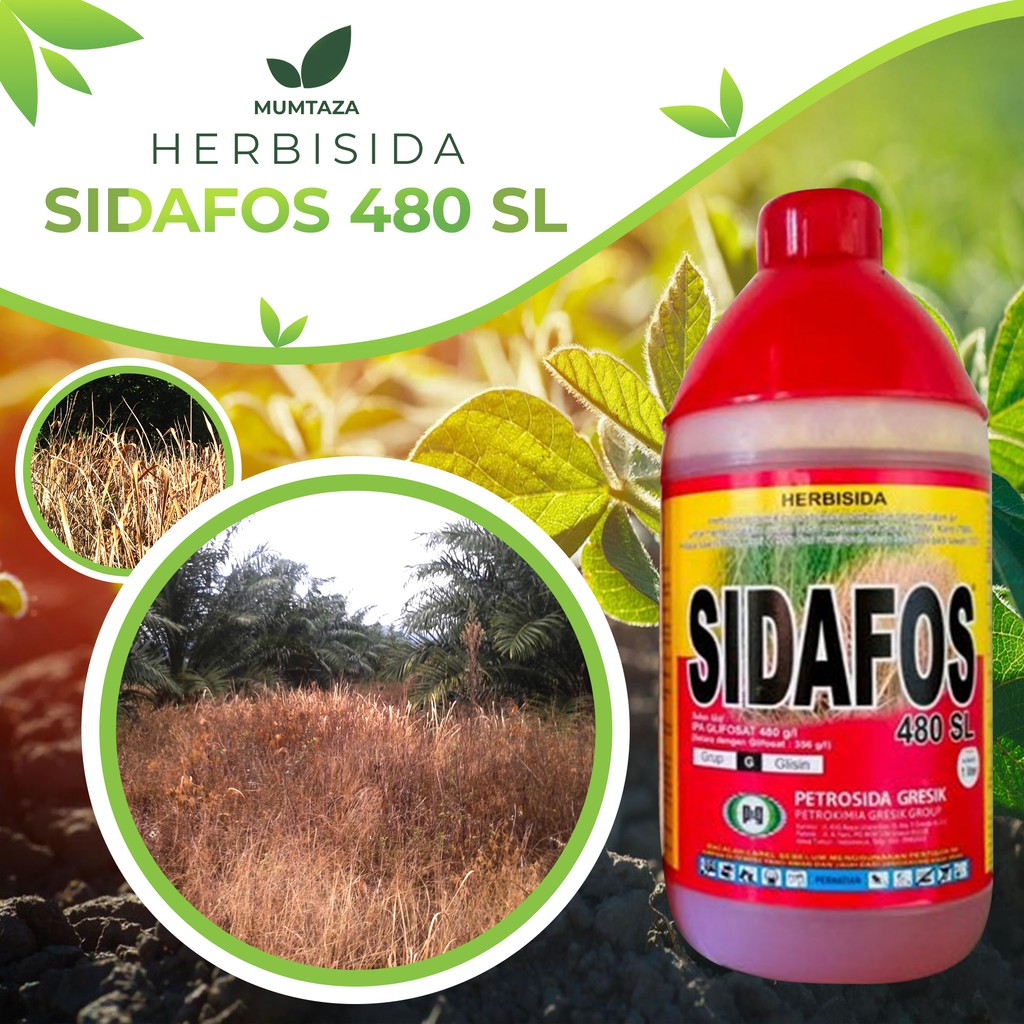 Jual Herbisida SIDAFOS 480 SL 1 liter herbisida sistemik berbahan aktif ...