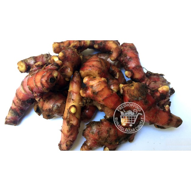 Jual Jahe merah 250 gram | Shopee Indonesia