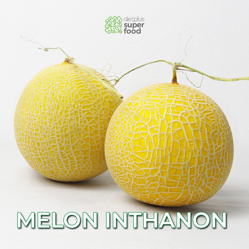 Jual Buah Melon Inthanon Manis Segar 1000-1100 gr 1 buah Dietplus ...