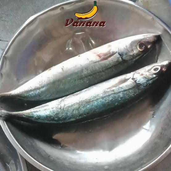 Jual Ikan Layang basah Jumbo 1kg (1000) | Shopee Indonesia