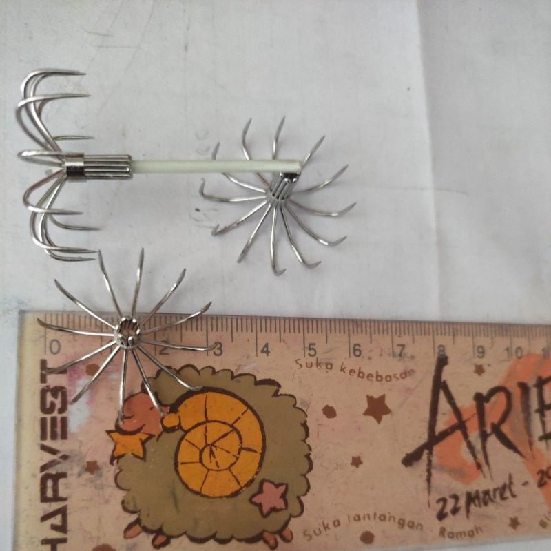 Jual kail garong/ranjau/kail baronang | Shopee Indonesia