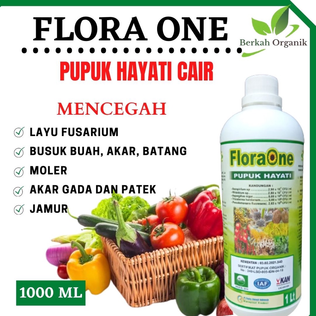 Jual Pupuk Fungisida Hayati Tricoderma, Pupuk Organik Jamur Trichoderma ...
