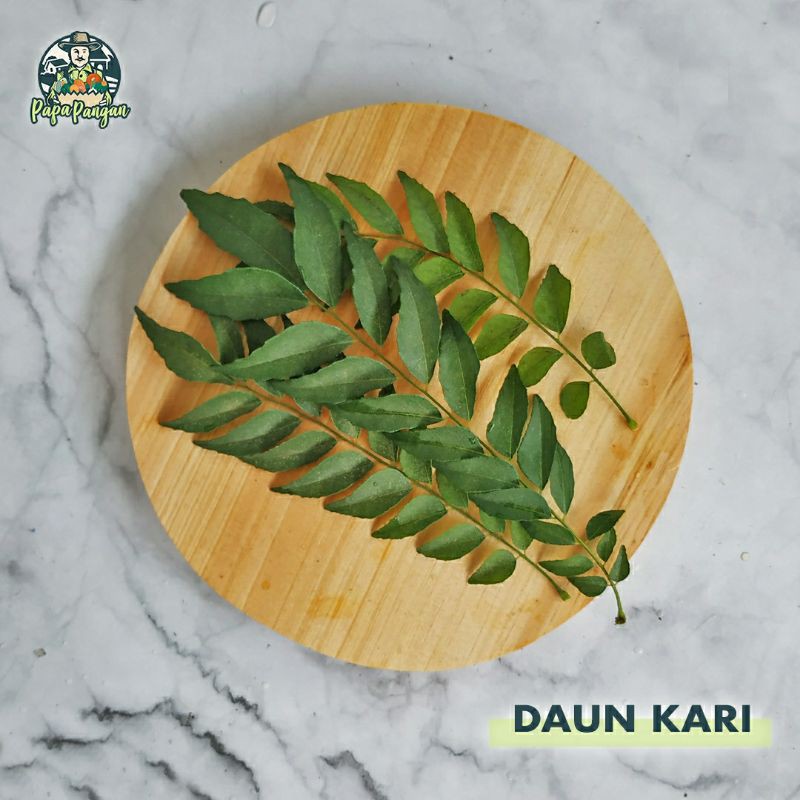 Jual Daun Kari | Salam Koja | Temurui - 20 gram | Shopee Indonesia