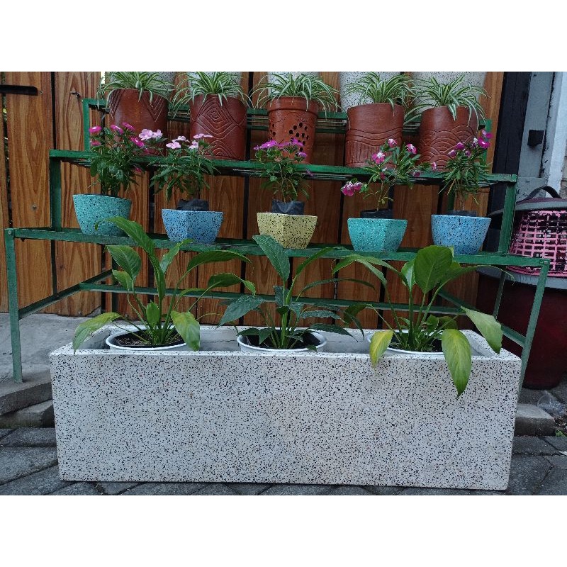 Jual Pot Bambu Air Teraso / terazzo | Shopee Indonesia