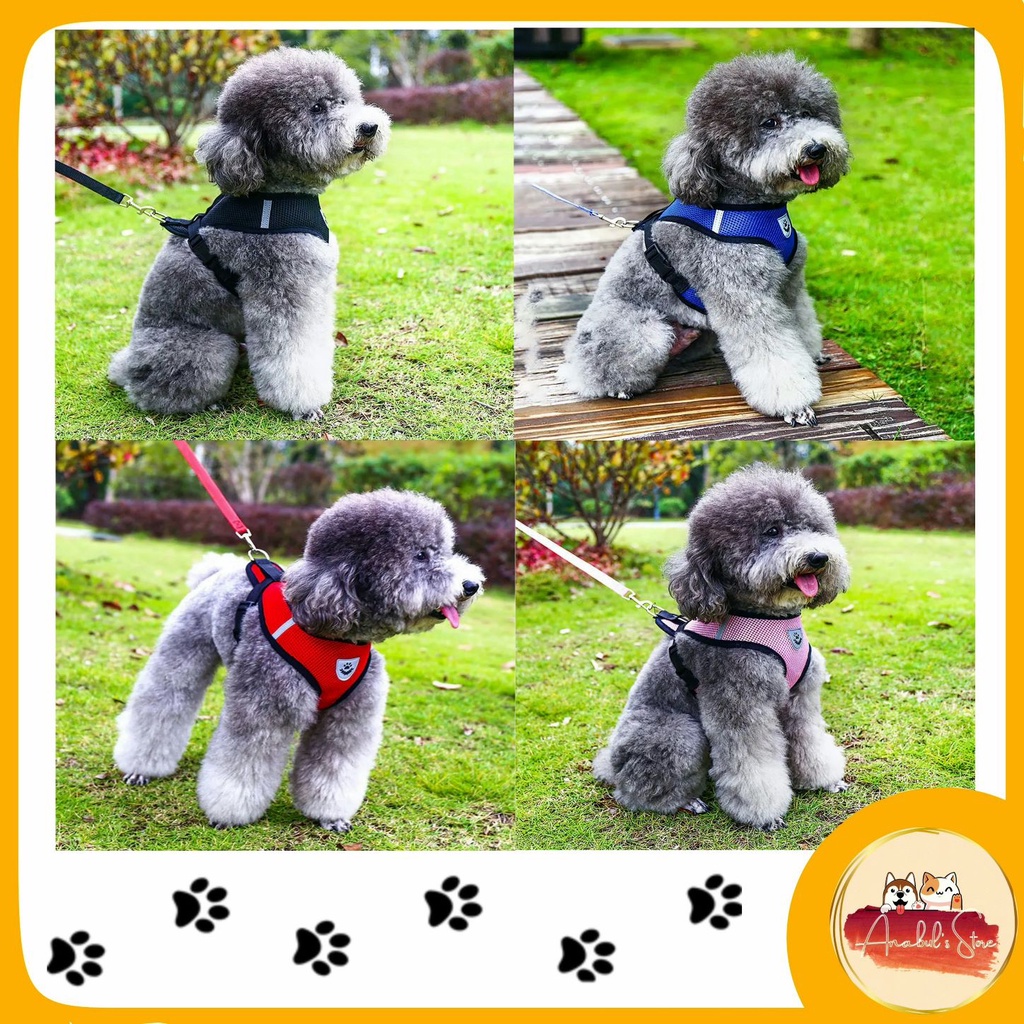 Jual Rompi Harness Kucing Anjing + Tali Tuntun Murah Harness Dog Cat ...