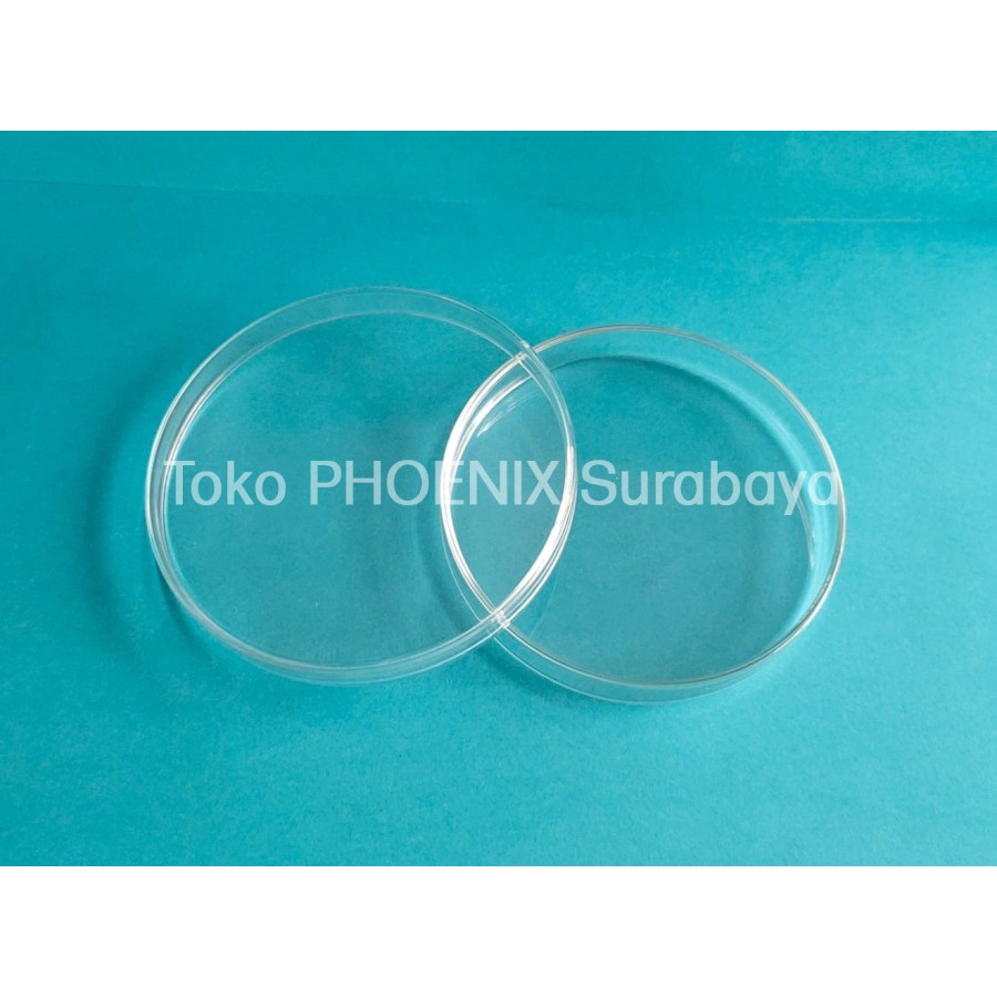 Jual Cawan Petri / Petri Dish Steriplan / Petri Dish / Petridish ...