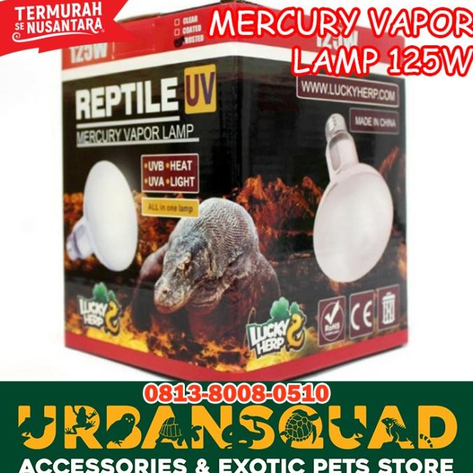 Jual LAMPU UVA UVB MERCURY VAPOR 125W LUCKY HERP TORTO SULCATA ALDABRA KURA | Shopee Indonesia
