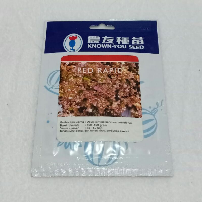 Jual benih selada red rapid merk know you seed kemasan pabrik benih sayuran | Shopee Indonesia