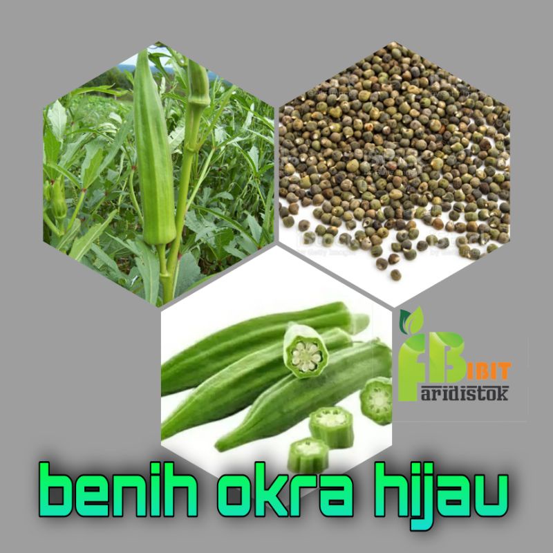Jual 100 gram benih okra hijau ( Abelmoschus esculentus ) | Shopee Indonesia
