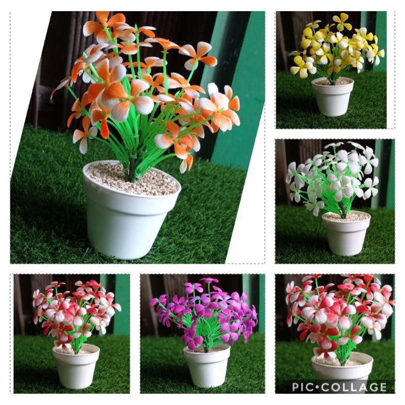 Jual Bunga semanggi artifisial warna cerah (siap kirim) | Shopee Indonesia