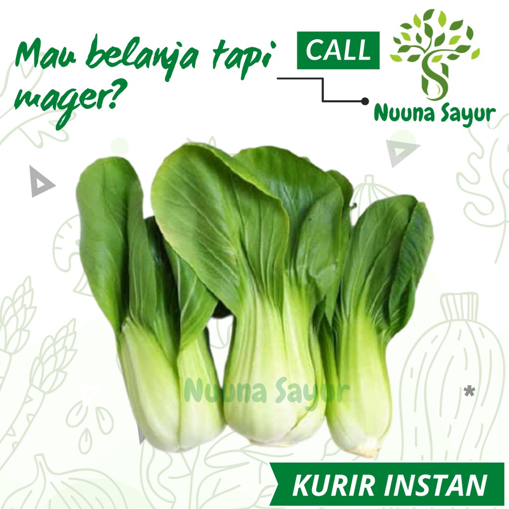 Jual SAYUR SAYURAN PAKCHOY PAKCOY POCOY DAN BUAH SEGAR 250 Gram ...