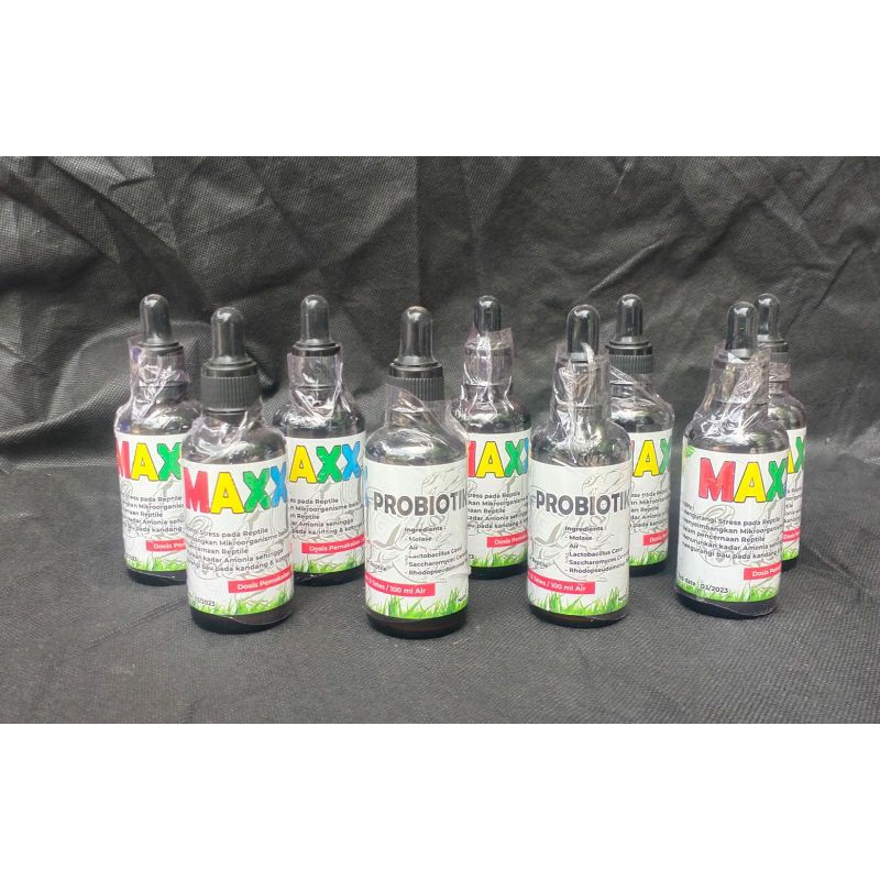 Jual MAXX Probiotik | Shopee Indonesia
