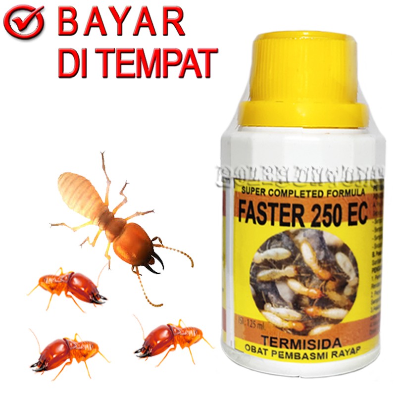 Jual FASTER TERMISIDA PEMBASMI RAYAP SERANGGA JENDELA PINTU RUMAH KAYU ...