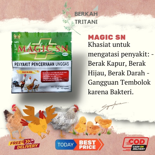 Jual MAGIC SN HIJAU SASANA NGAPAK JAMU OBAT AYAM SAKIT PENCERNAAN OBAT ...