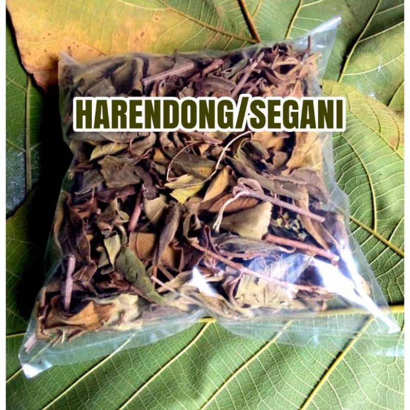 Jual daun harendong 250 grm (rp.12500) | Shopee Indonesia