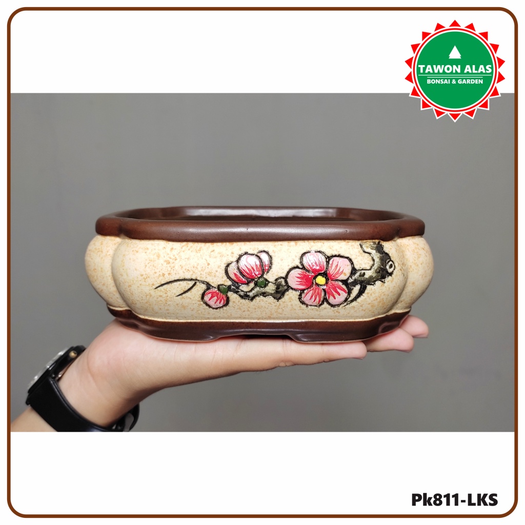 Jual POT BONSAI KERAMIK Mini Mame Sukulen Bunga Anggrek Kaktus Tanaman ...