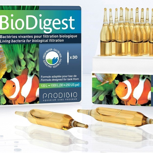 Jual Prodibio BioDigest - 1 vial Bio Digest Bakteri Starter Living ...