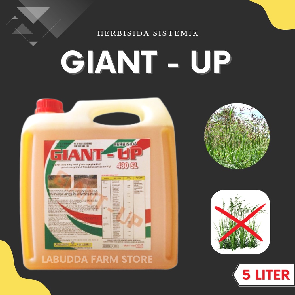 Jual Herbisida Giant Up 480 SL Herbisida Rumput Kemasan 5 Liter ...