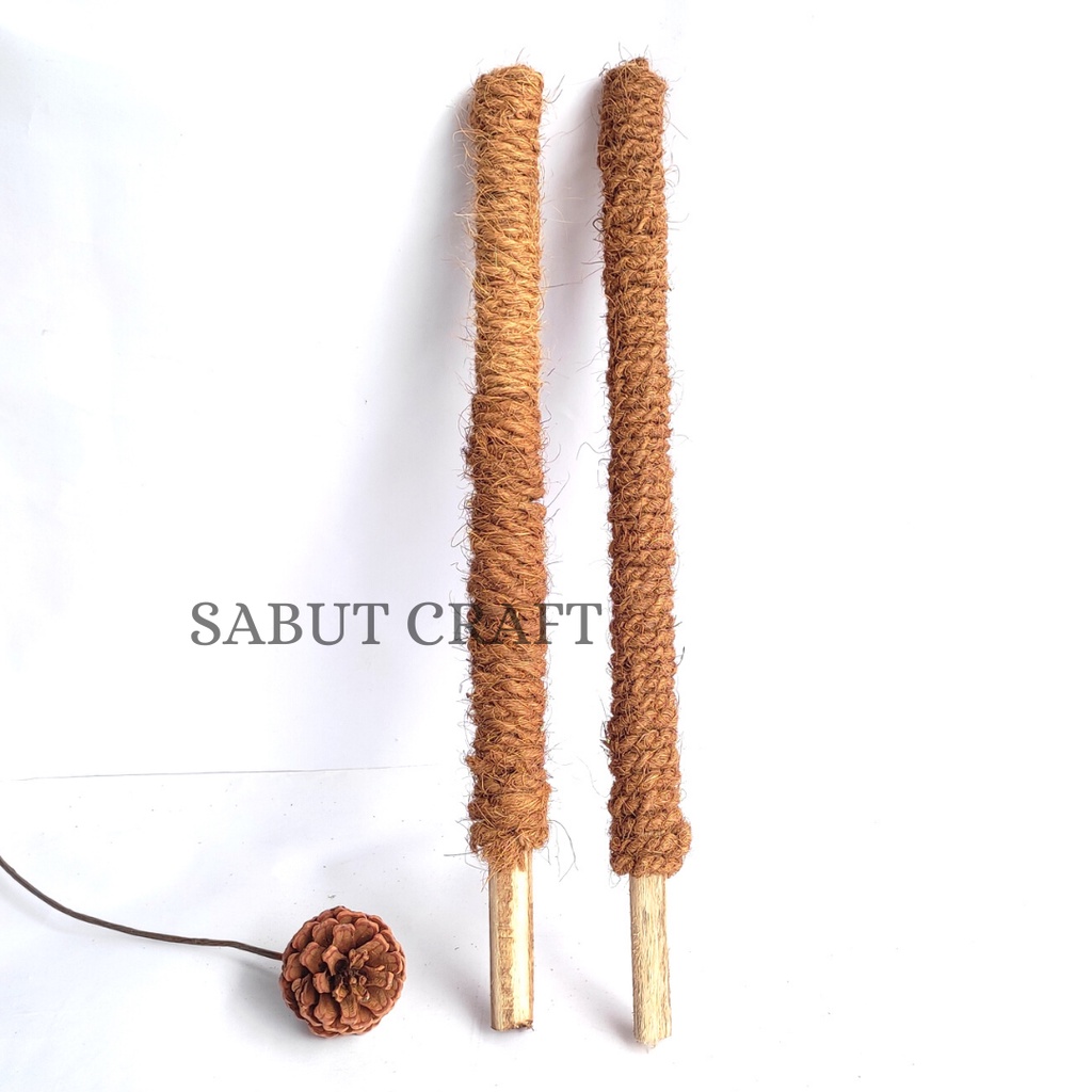 Jual TURUSAN KAYU PENYANGGA TANAMAN 50CM/TURUS AJIR RAMBATAN MONSTERA ...