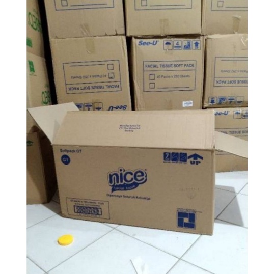 Jual KARDUS KOSONG / KERDUS / DUS / KARDUS TISUE NICE & CLEAN PLUS 52x40x35 CM | Shopee Indonesia