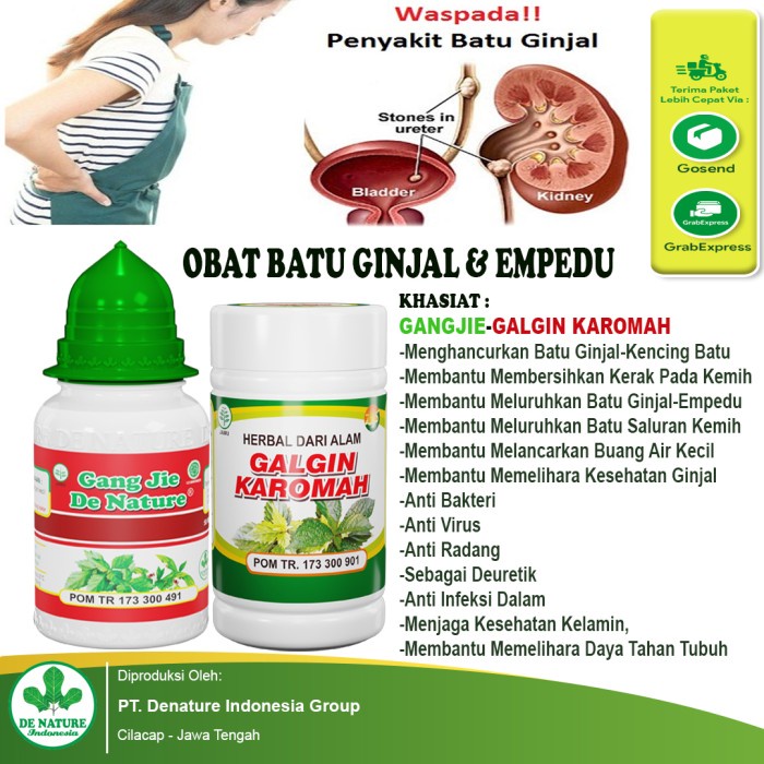 Jual Obat Batu Empedu Ginjal Infeksi Ginjal Kencing Batu Gagal Ginjal Polikistik Akut Kronis ...