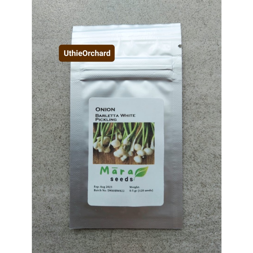 Jual Mara Seeds - Onion (Bawang) Barletta White Pickling (120 seeds ...