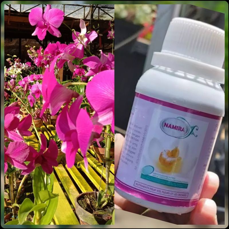 Jual Pupuk Anggrek Namira Isi 100 ML - Pupuk Organik Namira - Pupuk ...