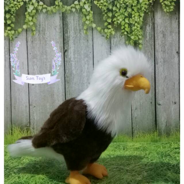 Jual Boneka Burung Elang (Eagle Dolls) | Shopee Indonesia