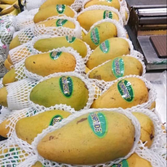 Jual Mangga chokanan thailand sunpride / miracle mango | Shopee Indonesia