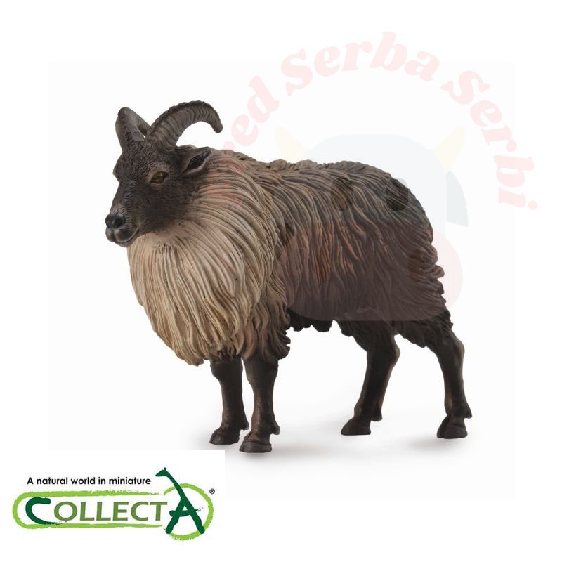 Jual CollectA Himalayan Tahr | Shopee Indonesia