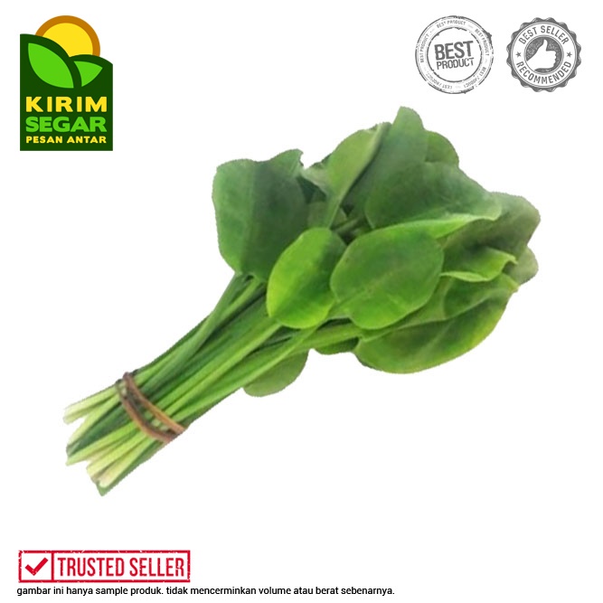 Jual Daun Genjer / Genjer Daun Segar / Genjer Segar / Perikat | Shopee ...