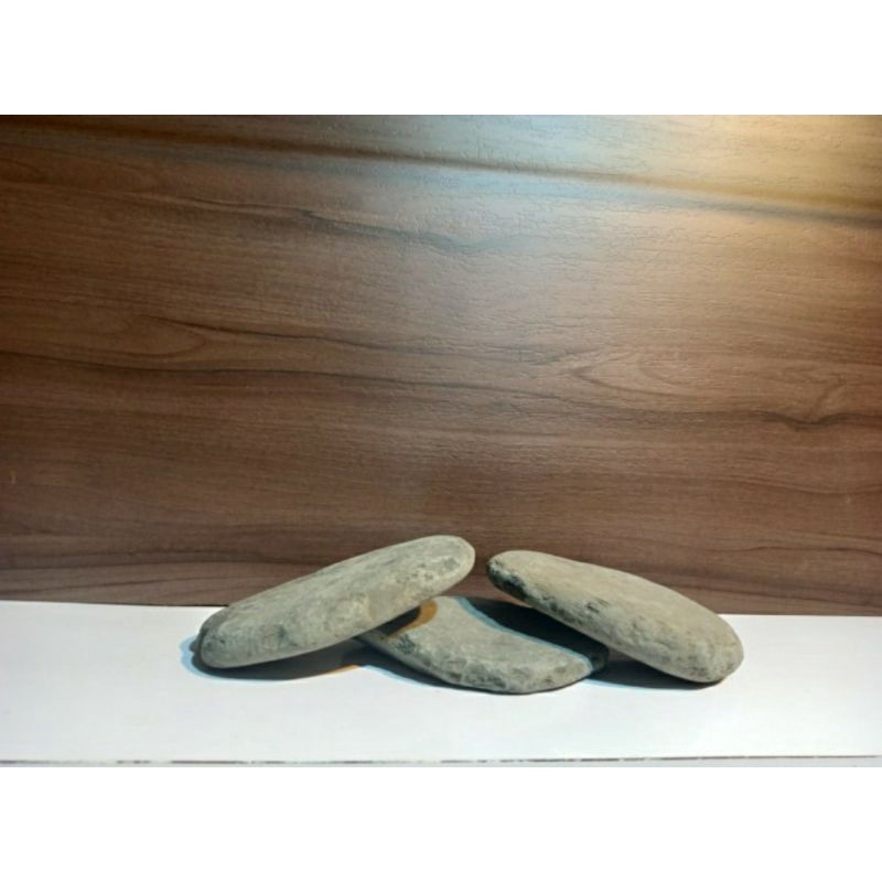 Jual BATU HIAS AQUARIUM BATU PIPIH CEPER HITAM BALI UNTUK AQUASCAPE ...