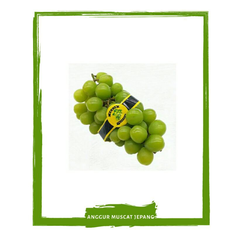 Jual Anggur Muscat/ Anggur Jelly / Buah Buahan Segar On Mallahrizwa ...