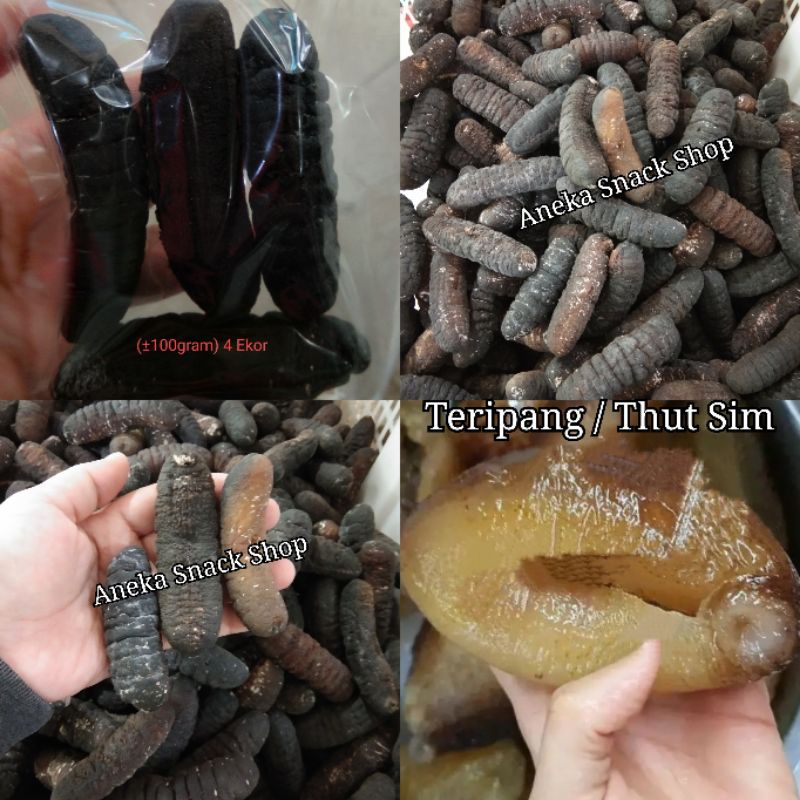 Jual Teripang Kering / Haisim / Sea Cucumber / Timun Laut / Tutsim ...