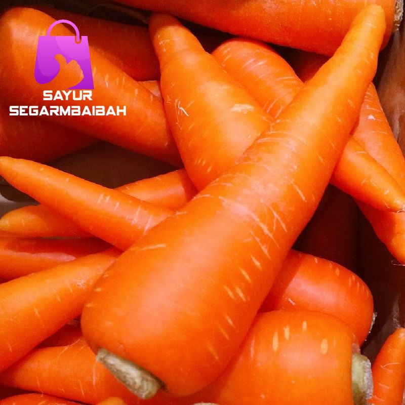 Jual wortel import segar/sayursegar | Shopee Indonesia