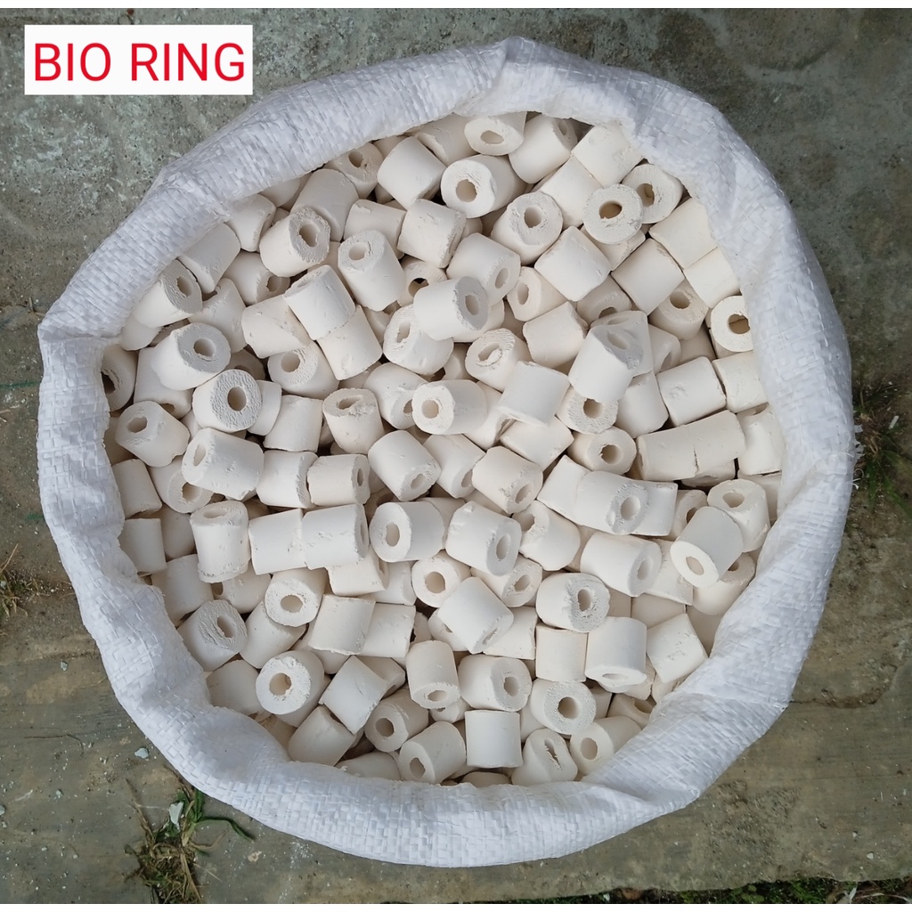 Jual Bioring bio ring ceramic 250gram filter aquarium kolam BIORING ...