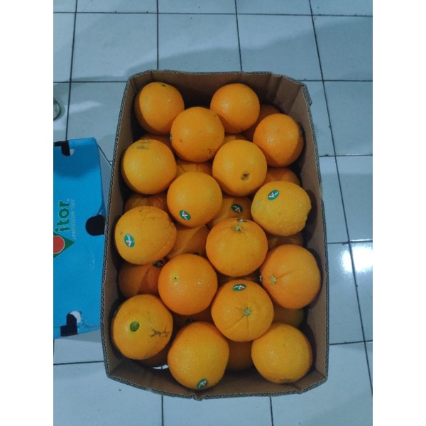 Jual jeruk Sunkist navel australia | Shopee Indonesia
