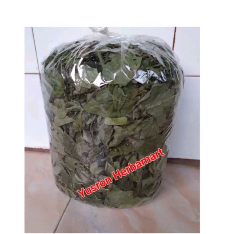 Jual DAUN SIMBUKAN KERING 500 GRAM | Shopee Indonesia
