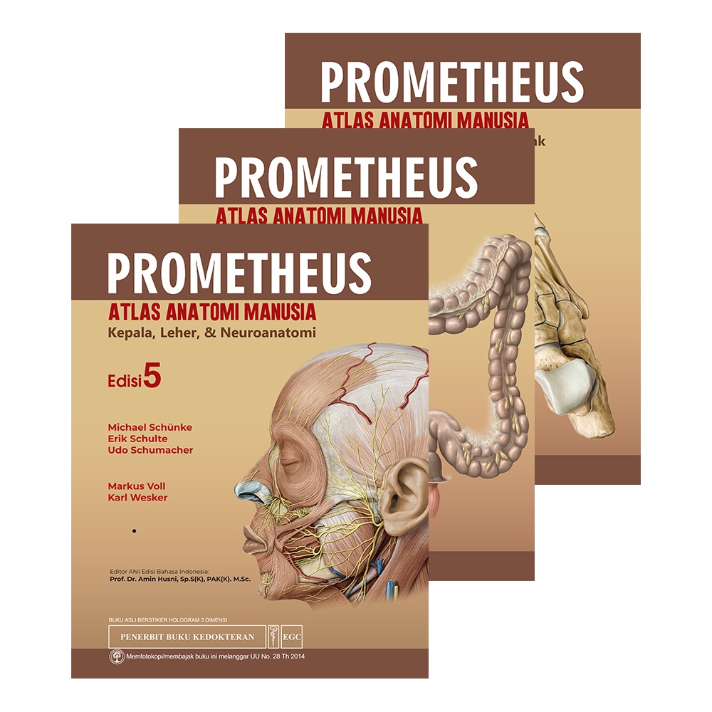 Jual EGC Prometheus Atlas Anatomi Manusia SET Edisi 5 | Shopee Indonesia