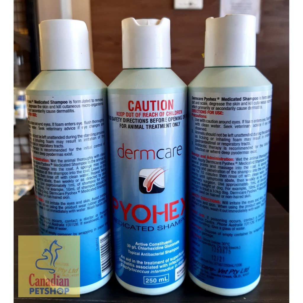 Jual Shampoo Anjing / Derm Care Dermcare Malaseb Pyohex Medicated Dog ...
